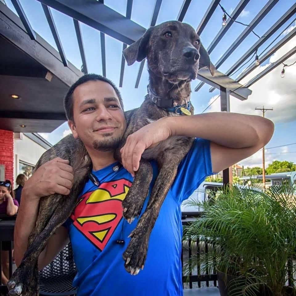 Dog Training – Alcala Country Pet Resort