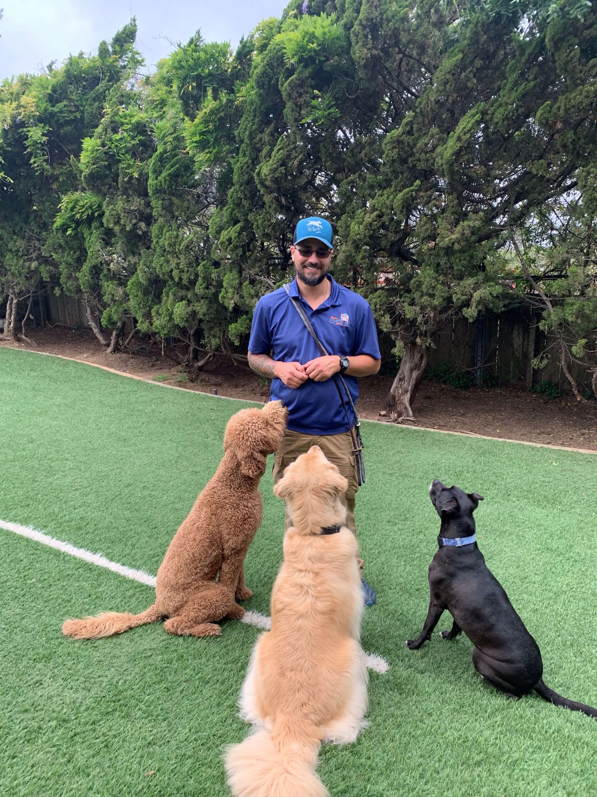 Dog Training – Alcala Country Pet Resort