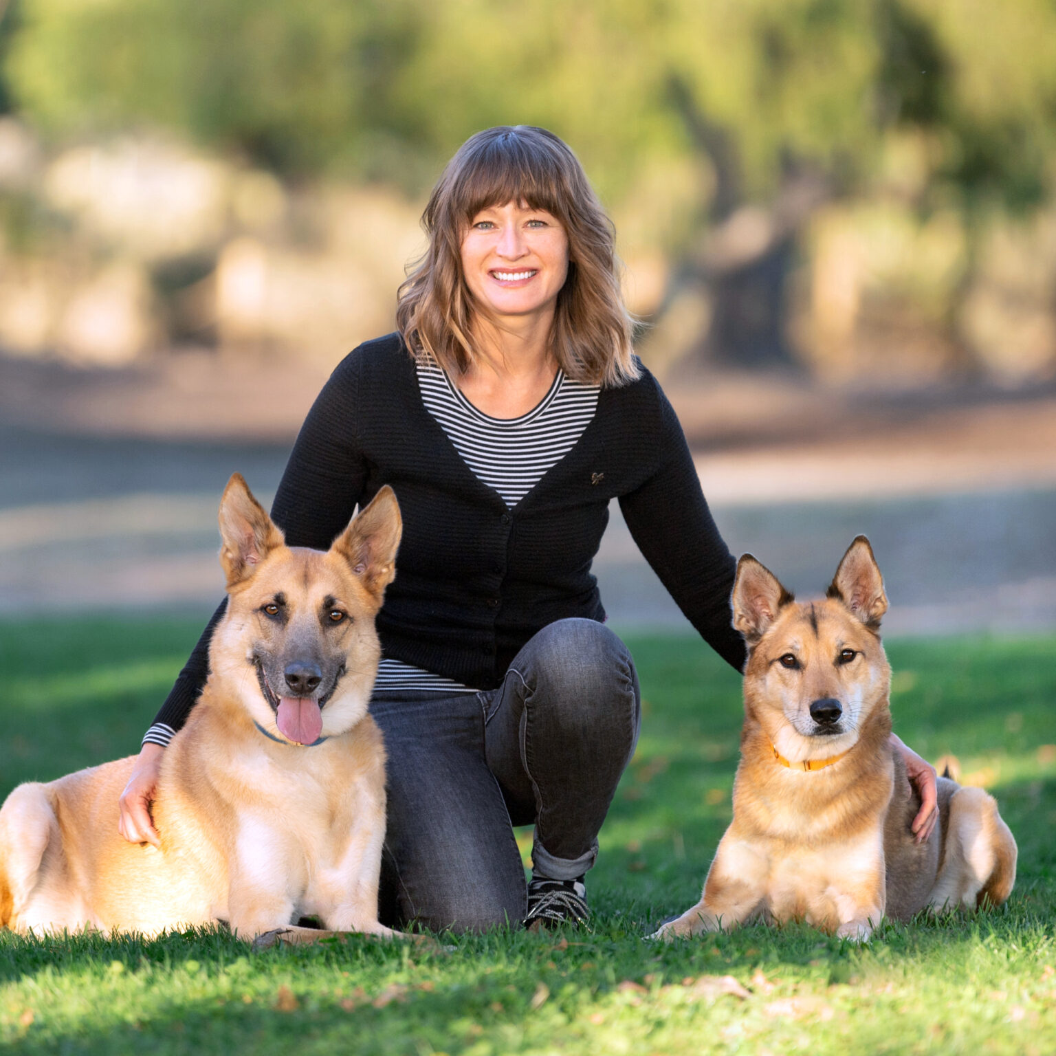 Dog Training Encinitas, CA - Alcala Country Pet Resort